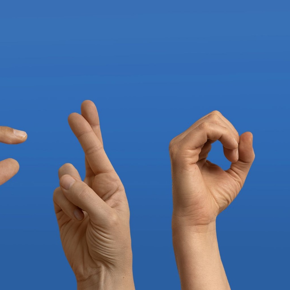 Students embrace British Sign Language Week - Orchard Park High School